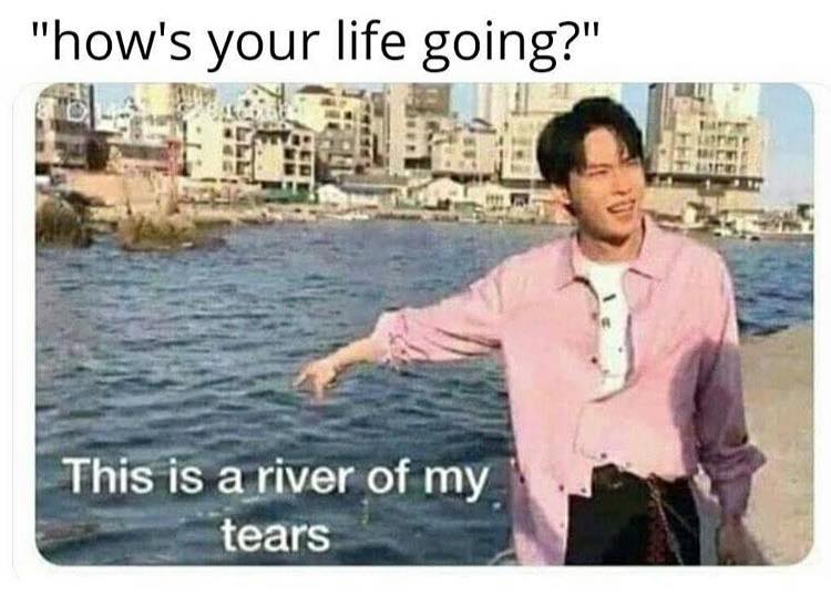 The Ultimate Collection Of Top 50 K-Pop Memes Of All Time | STEEZY Blog